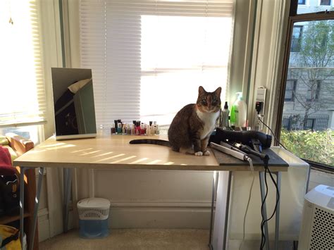 Ikea Office Desk Vika Amon At Lauren Nickolas Blog