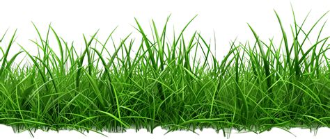Grass And Sky Background Pngs For Free Download