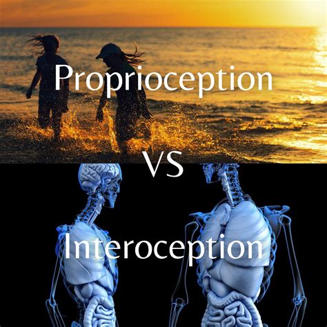 Can You Feel It — Synapse In Motion