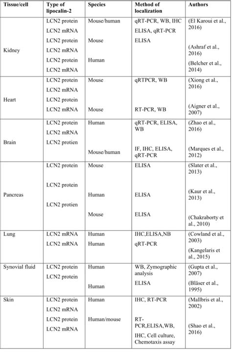 Tissue Distribution Of Lipocalin 2 Diabetes Mellitus In An Animal Model