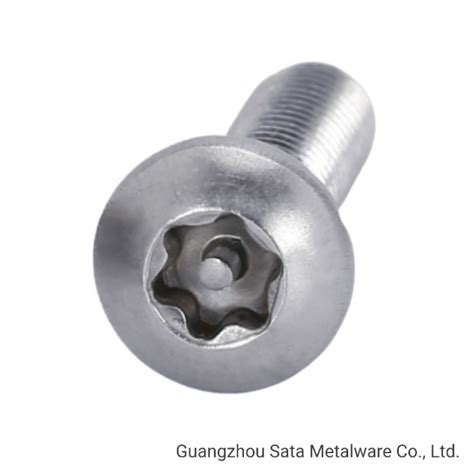 Metric Tamper Resistant Screws At Rose Holeman Blog