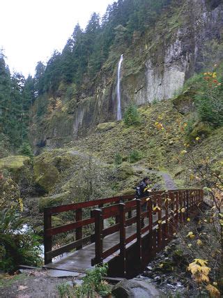 Wahclella Falls Hike Hiking In Portland Oregon And Washington