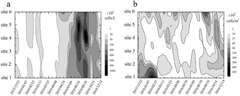 Seasonal Variations In Microcystis Cell Density At Different Sampling Download Scientific