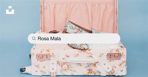 Imágenes De Rosa Mala Descarga Imágenes Gratuitas En Unsplash