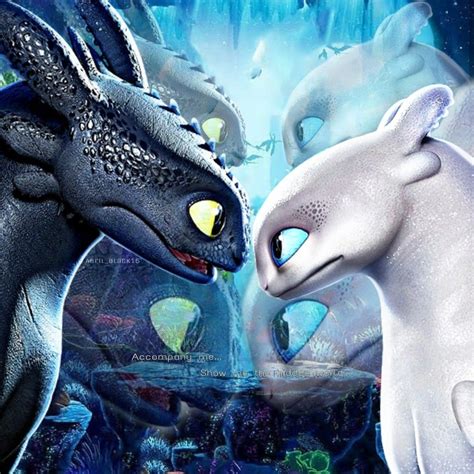Amor Toothless Drawing Toothless And Stitch Hiccup And Toothless