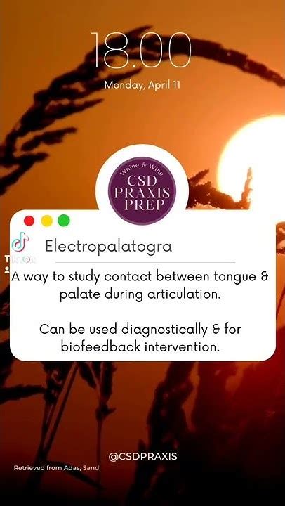 Wtf Is Electropalatography Epg Youtube