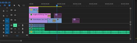 Solved Text Is In The Timeline But Does Not Appear In The Adobe