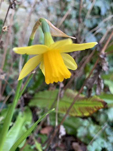 Springing Into Action In The Uk Compass Education