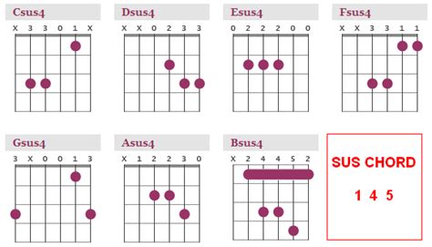 Hợp âm Sus Là Gì Học đàn Ghi Ta