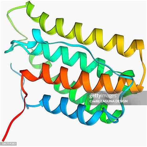 Interferon Alpha Photos And Premium High Res Pictures Getty Images