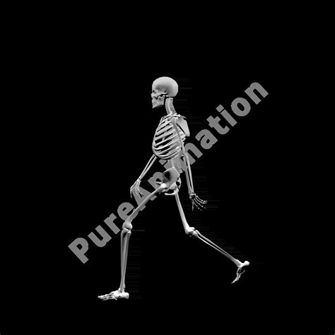 Skeleton Walking Animation Etsy