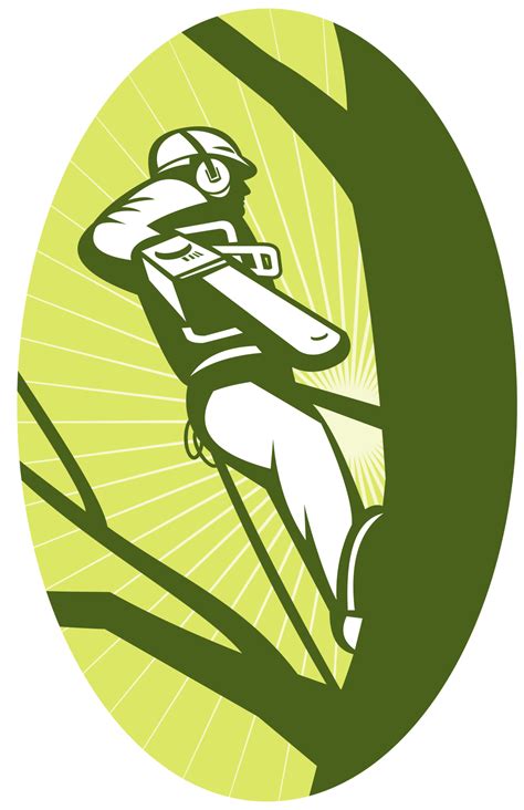 Tree Surgeon Arborist Chainsaw Cutting PNG