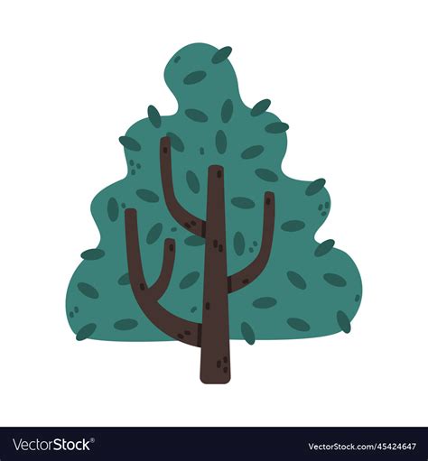 Green Bush Or Underwood With Branched Stem Vector Image