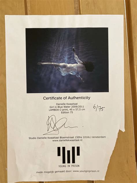 Danielle Kwaaitaal Girl In Blue Water Verkocht Kunstveiling Nl