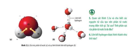 Quan Sát Hình 5 3a Và Cho Biết Các Nguyên Tử Cấu Tạo Nên Phân Tử Nước