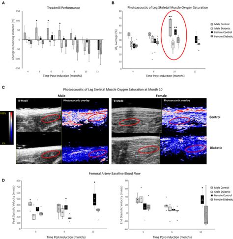 Microvascular Dysfunction In Skeletal Muscle Precedes Myocardial
