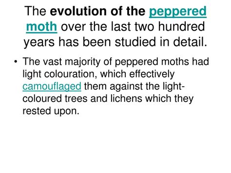 Ppt Peppered Moth Simulation Powerpoint Presentation Free Download Id 4358391