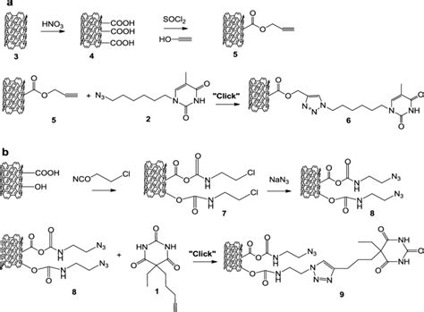 A Preparation Of Thymine Acid Functionalized Mwcnts 6 B