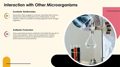 Interaction With Other Microorganisms Kingdom Eubacteria Ppt
