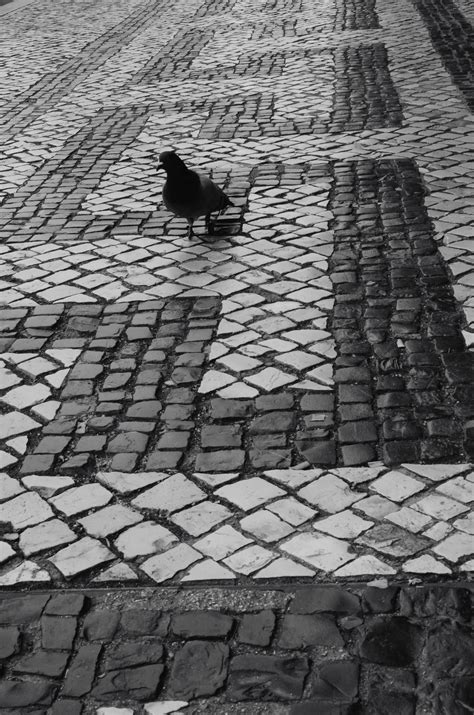 Bbbbbbbbbbbbbbbbbbbbxcw Photos Download The Best Free Bbbbbbbbbbbbbbbbbbbbxcw Photos Download The Best Free