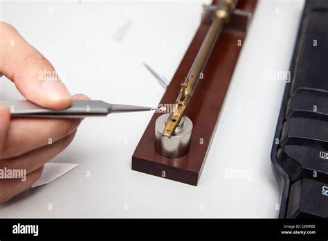 Specimen Holder For Microscope At Verda Garcia Blog