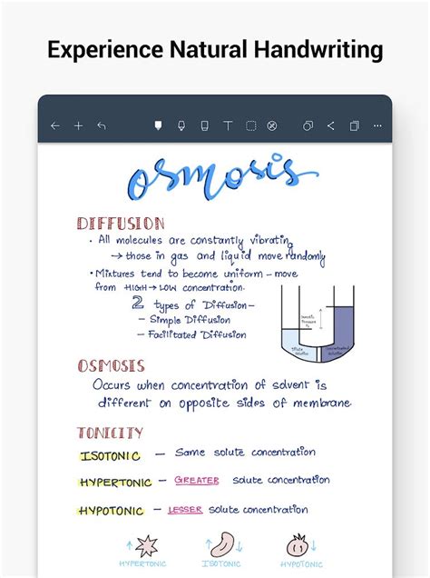 Noteshelf Alternatives For Windows Note Taking Tools Similar Apps AlternativeTo