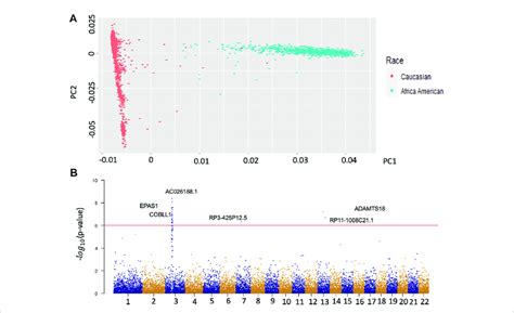 Population Stratification Of Two Main Races And Manhattan Plots Of Gwas Download Scientific