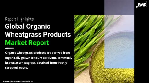 Organic Wheatgrass Products Market Size Share Trend 2034