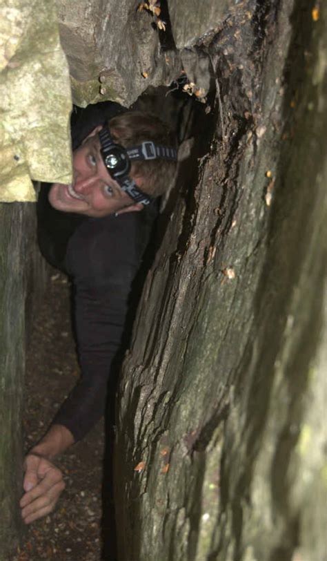 Nest Monitoring Kea Conservation Trust