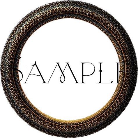 Python Skin Token Frame Enhance Your Tabletop Rpg Experience