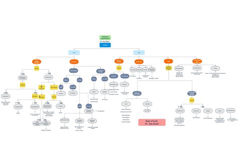Solution All Bacteria And Viruses Classification Studypool