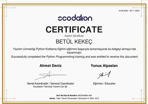 96 Saatlik Yazılım Uzmanlığı Python Kodlama Eğitimini Tamamlayarak