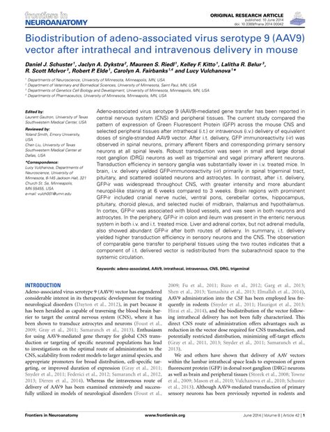 Pdf Biodistribution Of Adeno Associated Virus Serotype 9 Aav9