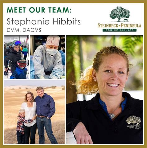 Meet Dr Stephanie Steinbeck Peninsula Equine Clinics