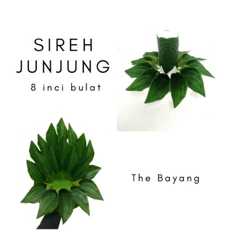 Sirih Junjung Hantaran Tanpa Bunga Tapak Sireh Junjung Diy Gubahan