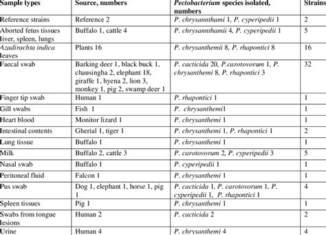 Types Of Samples From Those Pectobacterium Species Strains Were Isolated Download Scientific