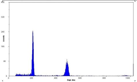 Representative Flow Cytometry Histogram Of Dapi Stained Nuclei Isolated