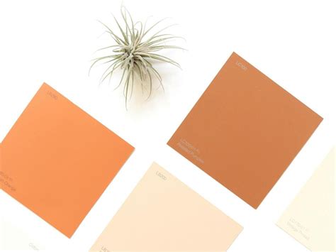 5 Popular Paper Grades And Types In Packaging