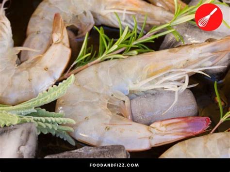 What Do Prawns Taste Like Mystery Uncovered