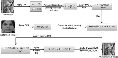 Illustration Of An Embedding Process Download Scientific Diagram