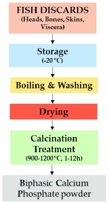 General Flow Diagram Of Biphasic Calcium Phosphate Extraction From Fish