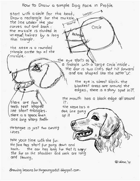 How To Draw A Side Profile Of A Dog