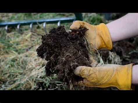 What Does The Garden Look Like Naked YouTube