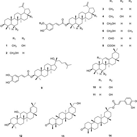 Structure Of Triterpenes 1 14 Isolated From C Orbicatus Download Scientific Diagram