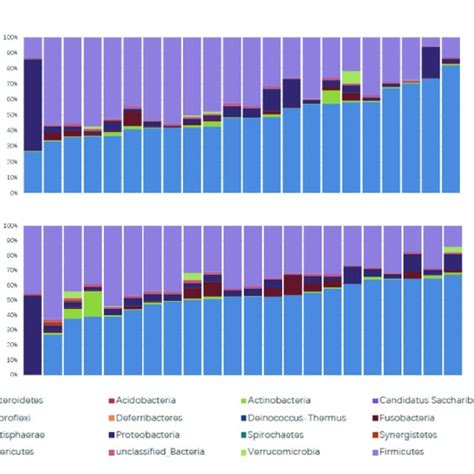 Stacked Bar Plot Of Phylogenetic Composition Of Common Bacterial Taxa