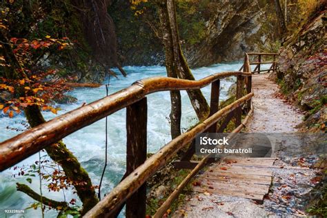 Wonderful Vintgar Gorge Canyon At Curlicue River And Beautiful Autumn