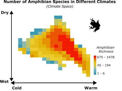 Tropical Climates Are The Most Biodiverse On Earth − But Its Not Only