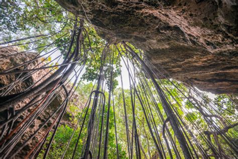 Indian Cave Visit Turks And Caicos Islands