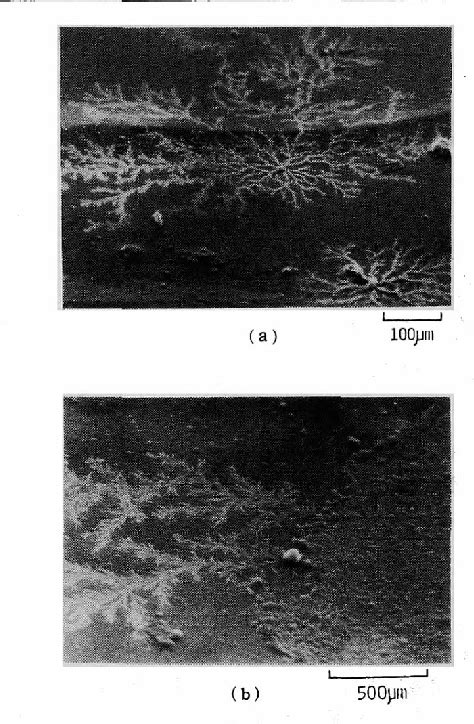 Fractal Pattern Of Dendrite On Conducting Polymer Semantic Scholar