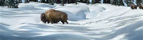 The Art Of Stephen Lyman